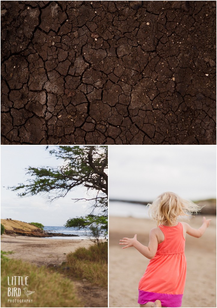 Alan Davis Beach | Secret Beach Hike Oahu for Families