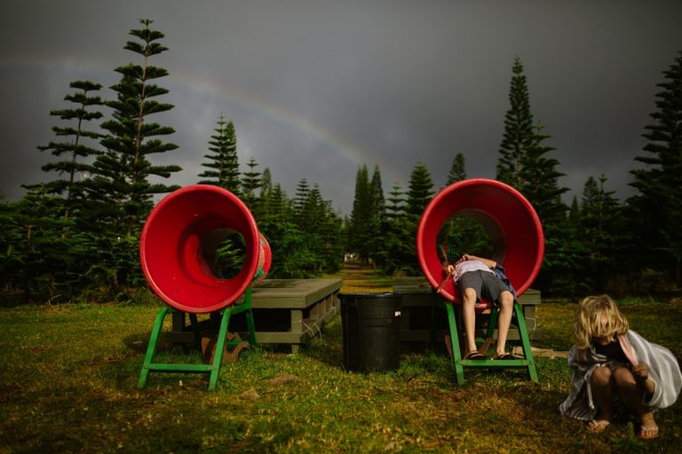 Oahu Christmas Tree Farm and A Hawaii Family Tradition